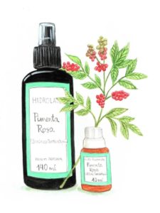 Pimenta rosa - A Graça de Maria